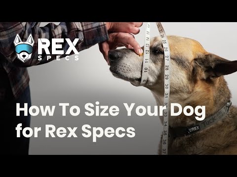 RexSpecs V2 - Volcano Red (metallic) – Fuglehundfolk.no